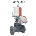 Flowserve-Valtek - Process Supplies and Accessories, Inc.